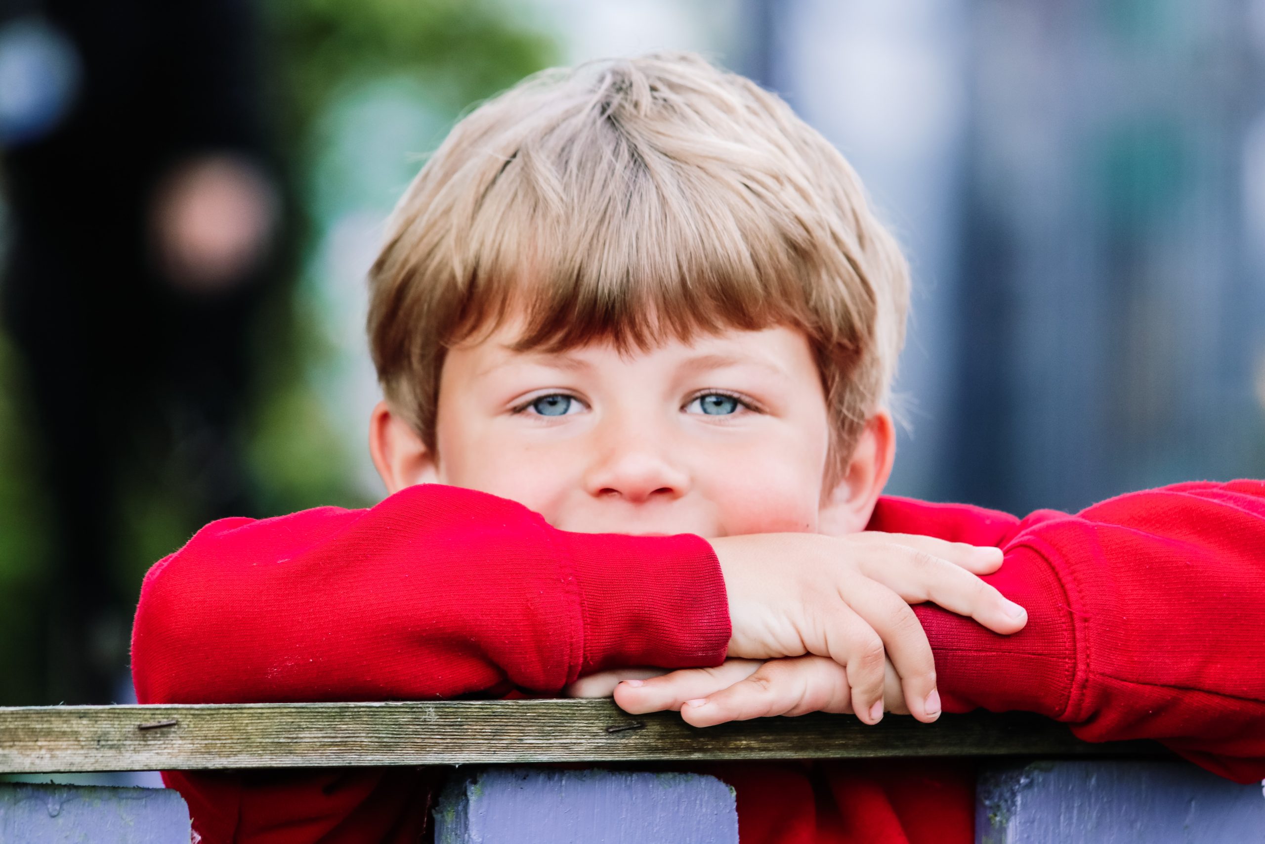 Our School - Ysgol Gymraeg Teilo Sant