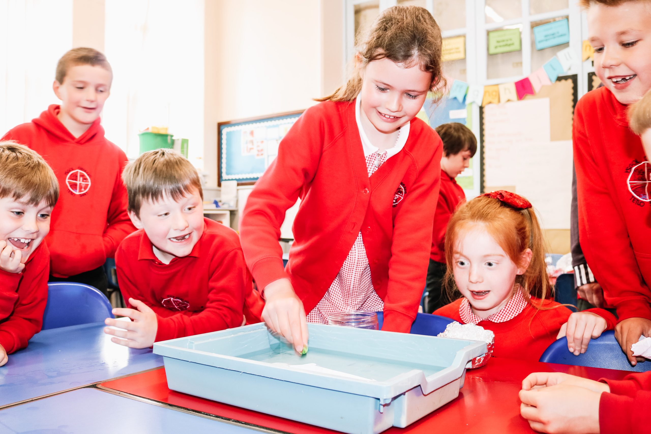 Curriculum for Wales - Ysgol Gymraeg Teilo Sant