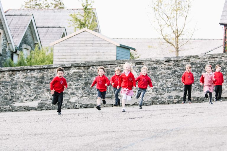 Curriculum for Wales - Ysgol Gymraeg Teilo Sant